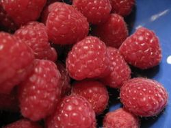 Raspberry Syrup (Himbeersaft) Recipe | German-Jewish Cuisine